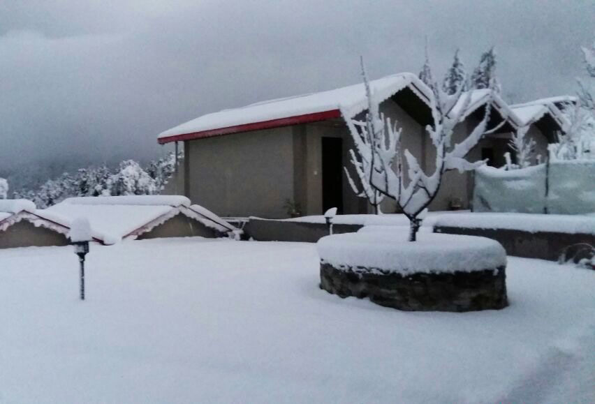 This Peaceful Resort In Chail Is Your Shot At Seeing A Snowfall In ...