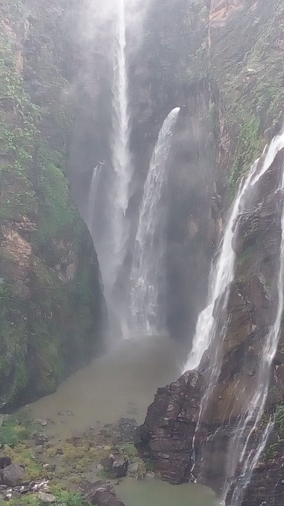 Bangalore to Jog Falls: One Day Trip to Jog Falls from Bangalore | Tripoto