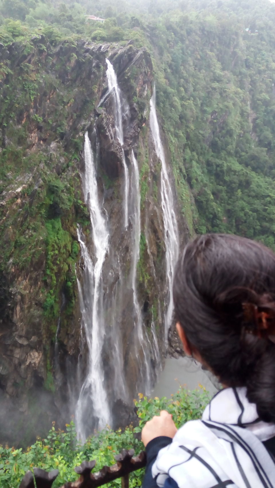 Bangalore to Jog Falls: One Day Trip to Jog Falls from Bangalore | Tripoto