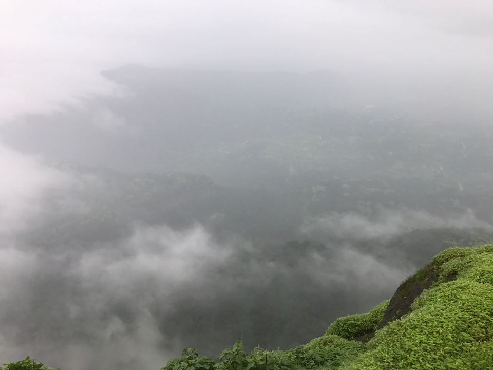 Memorable Monsoon Trek to BhimaShankar via Bhorgiri - Tripoto