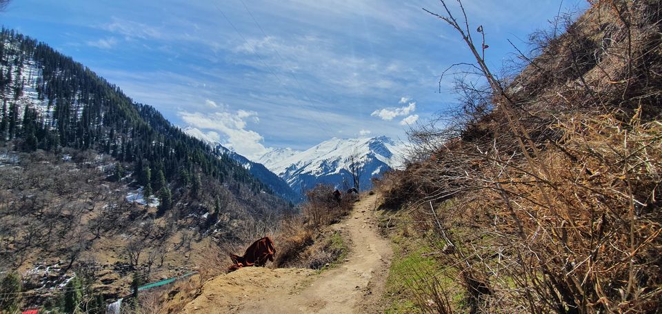 Kutla Trek, and the 25ft fall - Tripoto