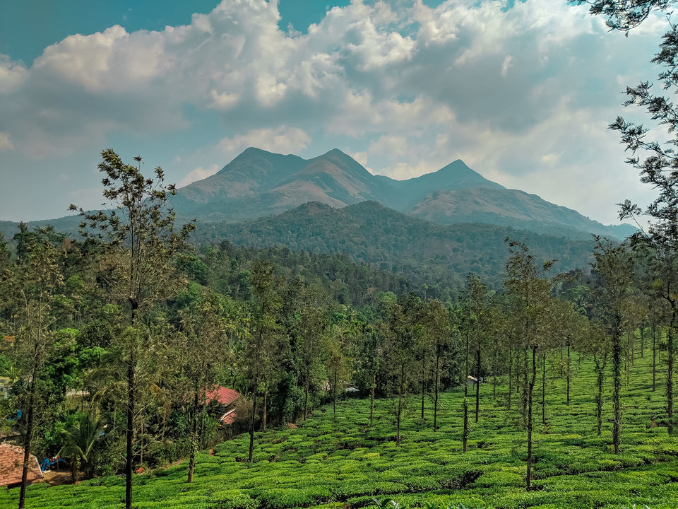 Chembra and Hridhayathadakam - A Day Trek to the Highest Peak in ...