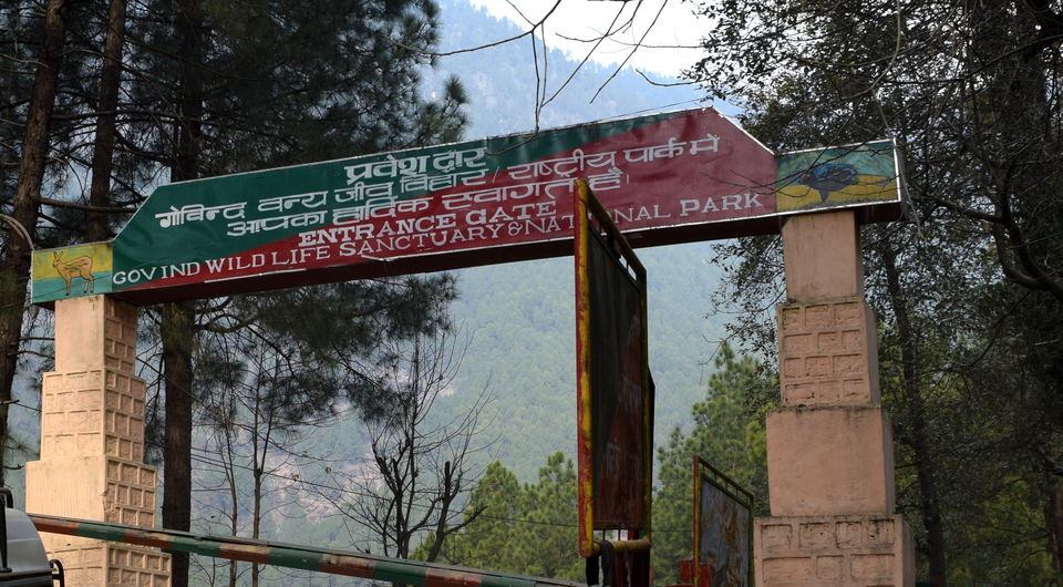 Sankri - The remote Himalayan village in Uttarakhand Part1 - Tripoto