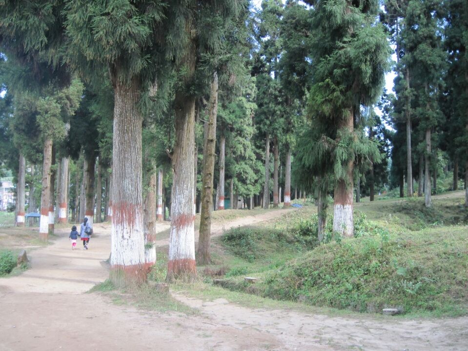 Mirik (underrated) - Tripoto