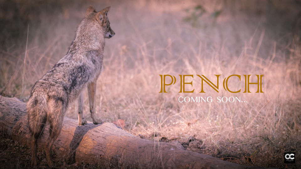 PENCH NATIONAL PARK Travel Guide - Tripoto