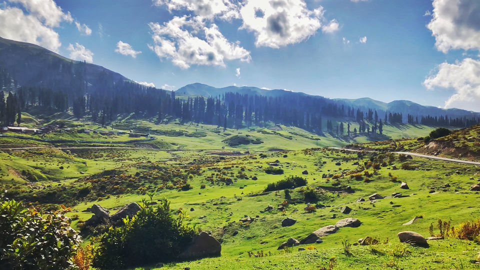The Village Less Known :Bota Pathri, Kashmir lifechangingtrip - Tripoto