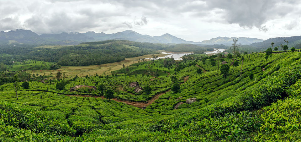 Best scenic trekking trails in Munnar - Tripoto