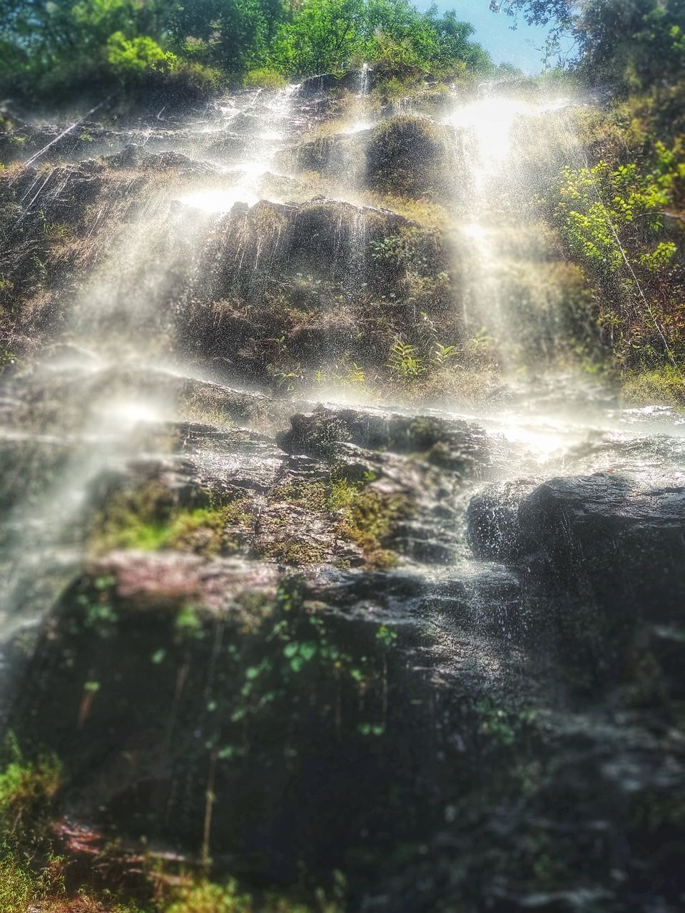 Saranda: A Forest Where Time Stood Still - Tripoto