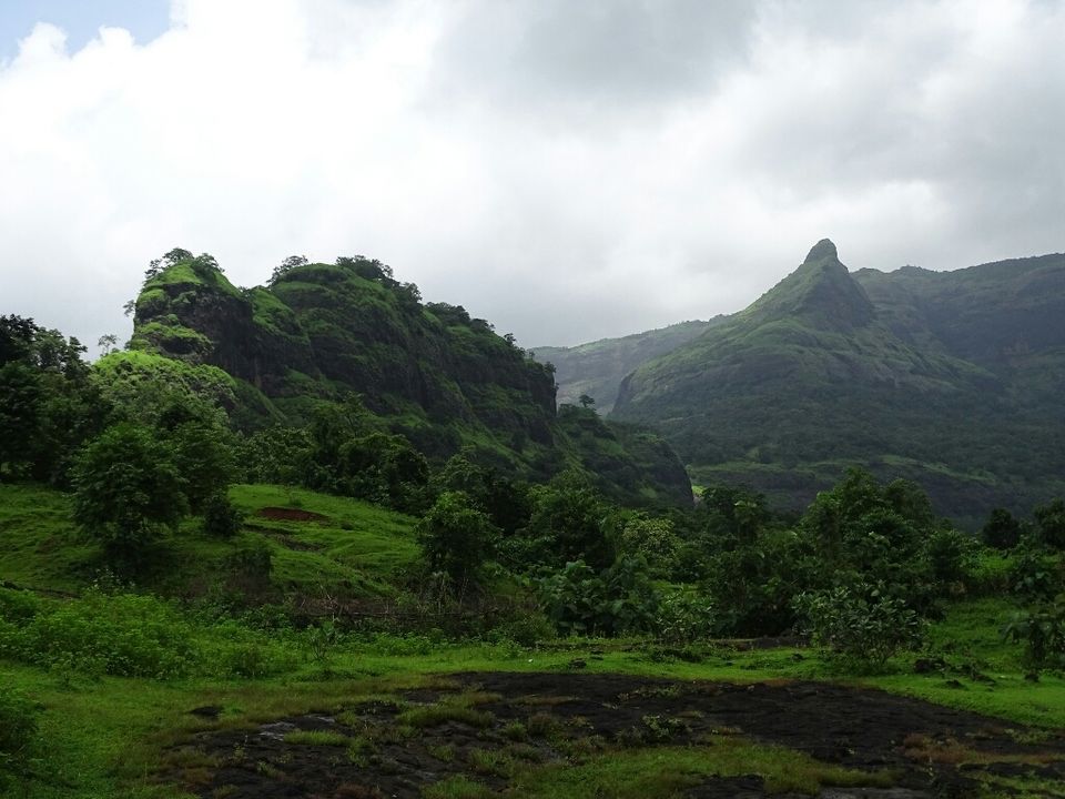 Trek to Mrugagad and Umberkhind - Tripoto