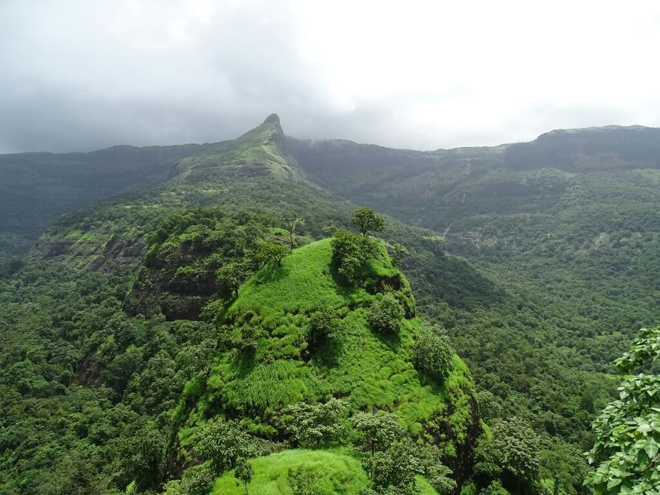 Trek to Mrugagad and Umberkhind - Tripoto
