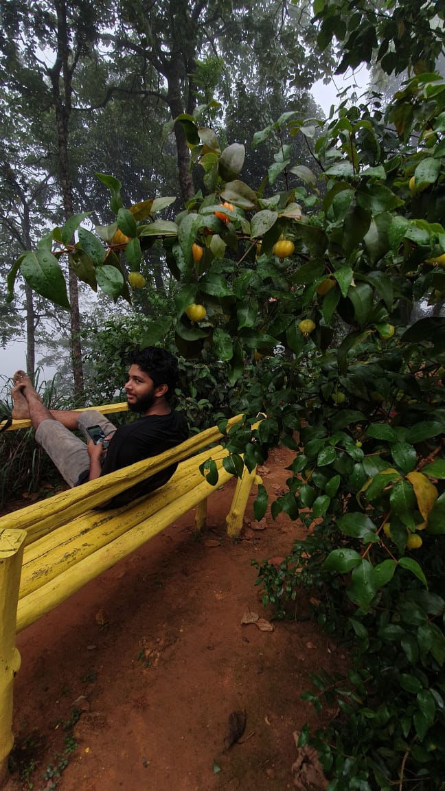 Take A Sneak Peek Into The Wild Side Of Lush green 900 Kandi - Ela ...