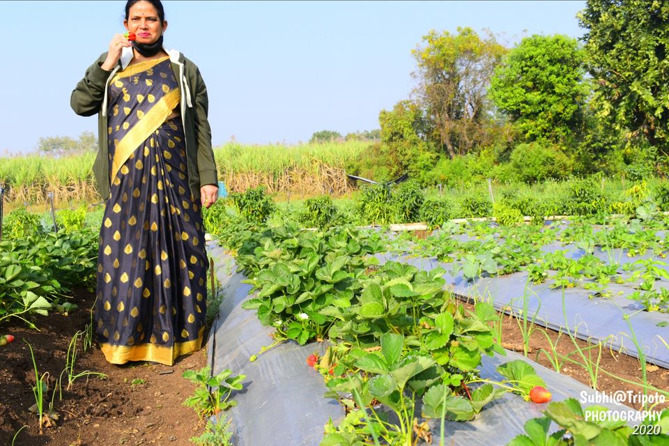 Digital Detox weekend getawayJOY FOREST akaAnandvan Satara Farmstay Wai ...