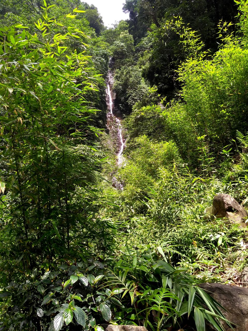 Few days in tropical forests of Meghalaya: Cherrapunjee , Double Decker ...