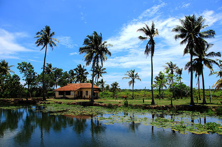 About pandavan para Chengannur India, Best Time to Visit, Photos ...
