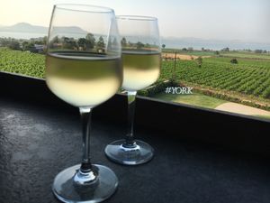 York Winery & Tasting Room, Nashik, India: View Images, Timing and ...