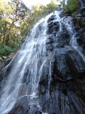 Bee Falls, Pachmarhi, India: View Images, Timing and Reviews | Tripoto