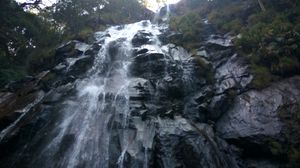 Bee Falls, Pachmarhi, India: View Images, Timing and Reviews | Tripoto