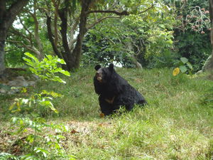 Trivandrum Zoo, Thiruvananthapuram, IN: View Images, Timing and Reviews ...