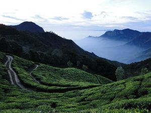 Top Station, Munnar, India: View Images, Timing and Reviews | Tripoto