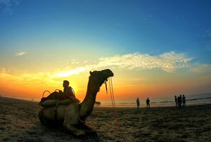 Jampore Beach, Daman, India: View Images, Timing and Reviews | Tripoto