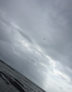 Carter Road, Mumbai, India: View Images, Timing and Reviews | Tripoto