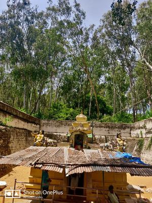 11 Places To Visit In Talakadu To Make The Most Of Your Trip | Tripoto