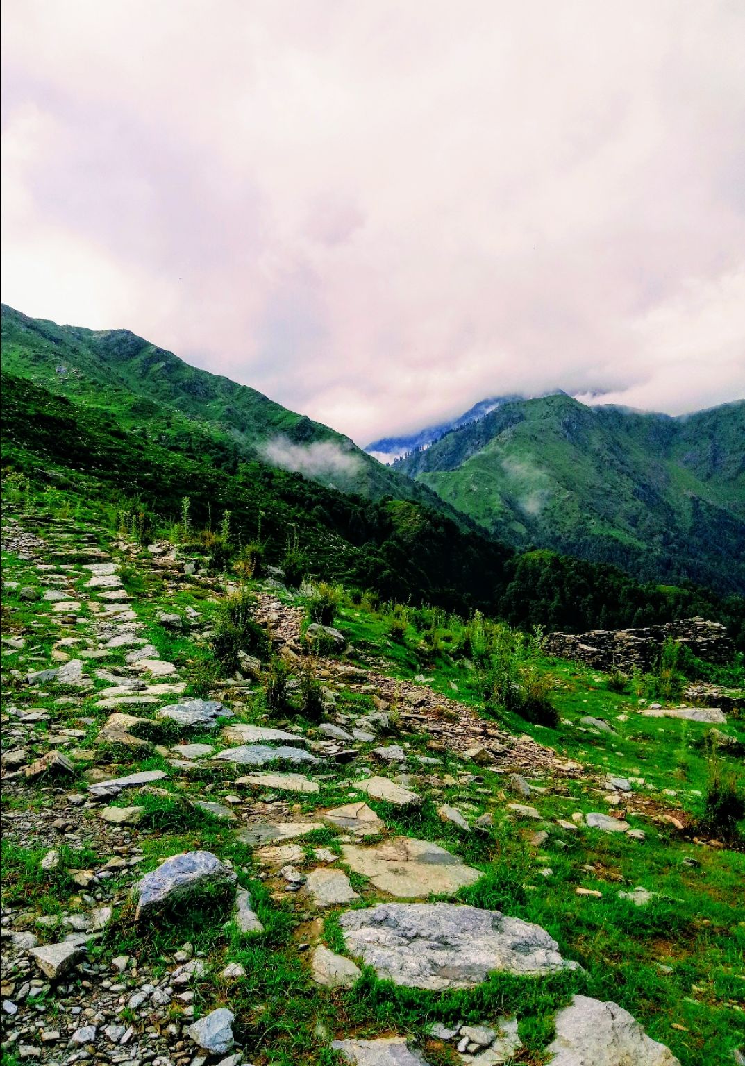 Pahari_in_town (@praveenchaudhary6689148) Travel Blogger at Tripoto