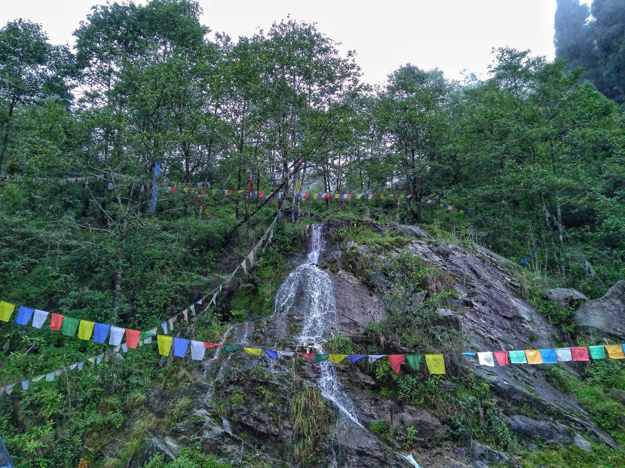 Payal Priya (@payalpriya) Travel Blogger at Tripoto