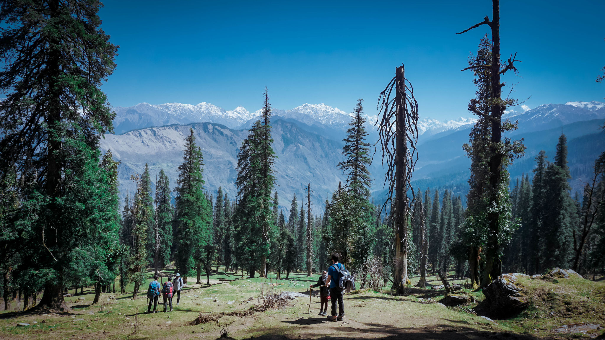 Sudipto Saha (@mistfilms) Travel Blogger at Tripoto