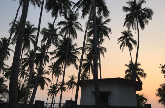 Honest, Useful Traveler Guides To Anjuna 2023 | Tripoto