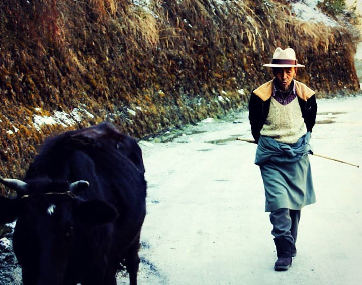 Subham Mandal (@subhammandal) Travel Blogger at Tripoto