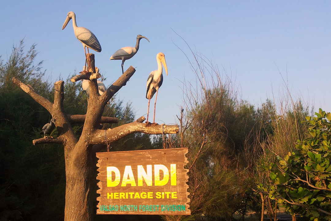 Honest, Useful Traveler Guides To Navsari 2022 | Tripoto