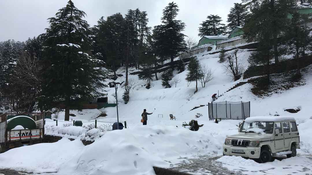 Kandaghat-Chail-Kufri Road, Kufri, India: View Images, Timing and ...