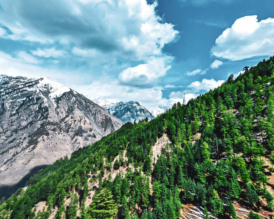 Honest, Useful Traveler Guides To Bharmour 2021 | Tripoto