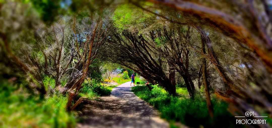 Port Stephens Travel Guide 2022: Best of Port Stephens Tourism | Tripoto