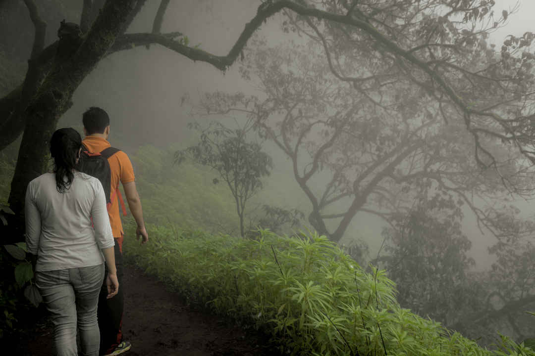 A trek to Rajgadh, Maharashtra, Experience the real beauty of Western Ghats