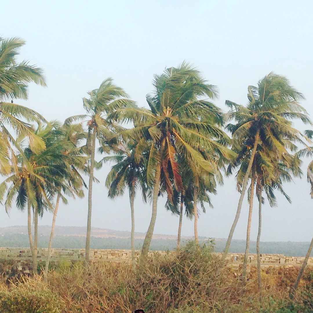 malvan darshan