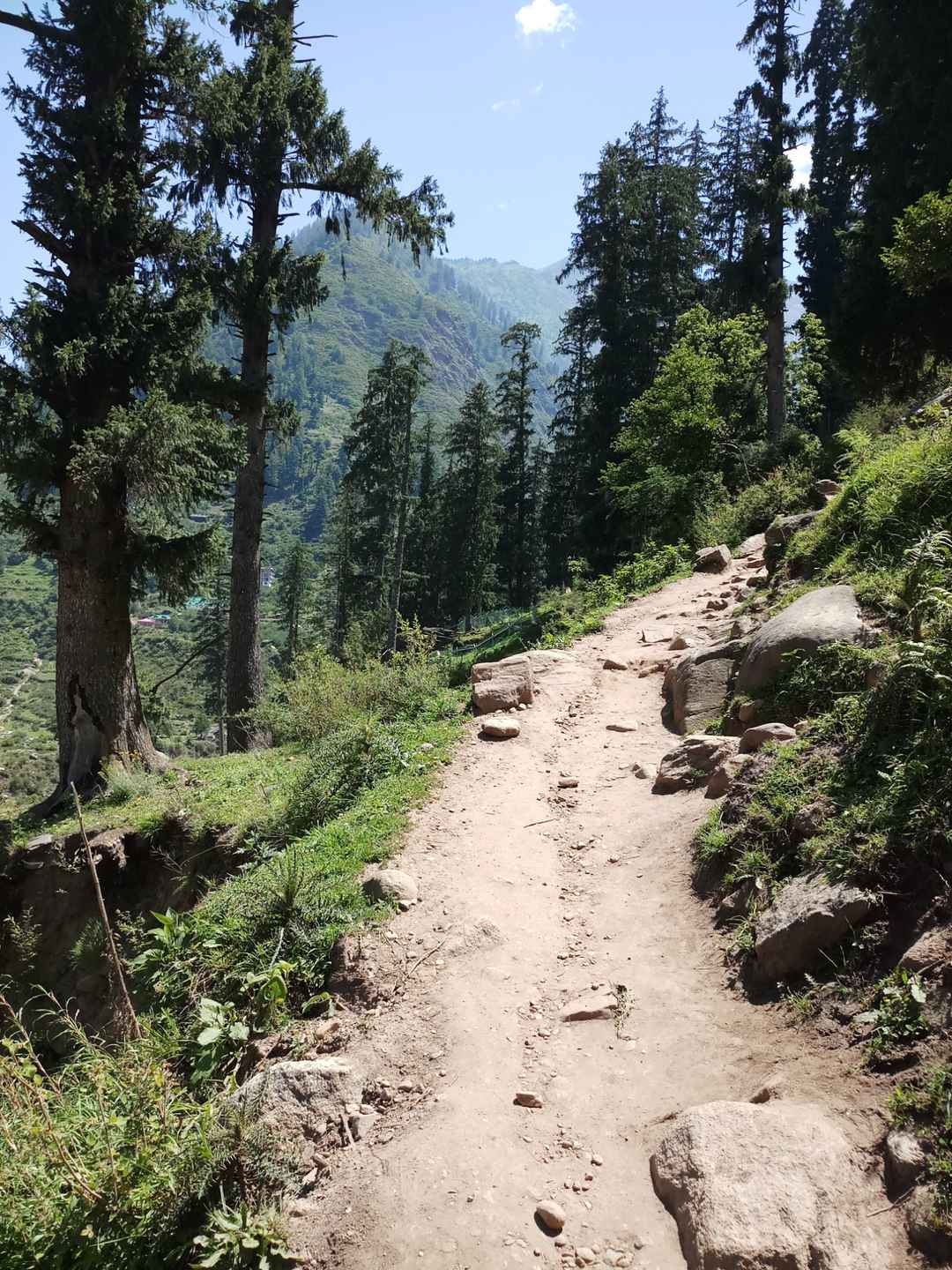 Adit Mathur (@aditmathur) Travel Blogger at Tripoto