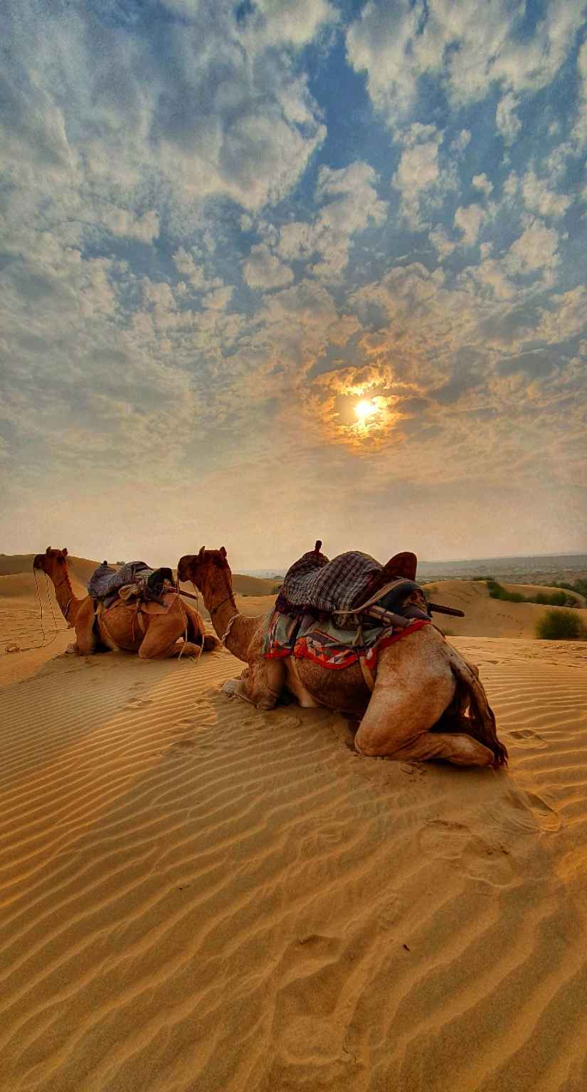 Pokhran Fort, Jaisalmer, India: View Images, Timing and Reviews | Tripoto