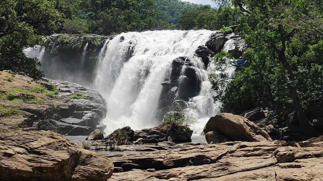 Honest, Useful Traveler Guides To Marayoor 2022 | Tripoto