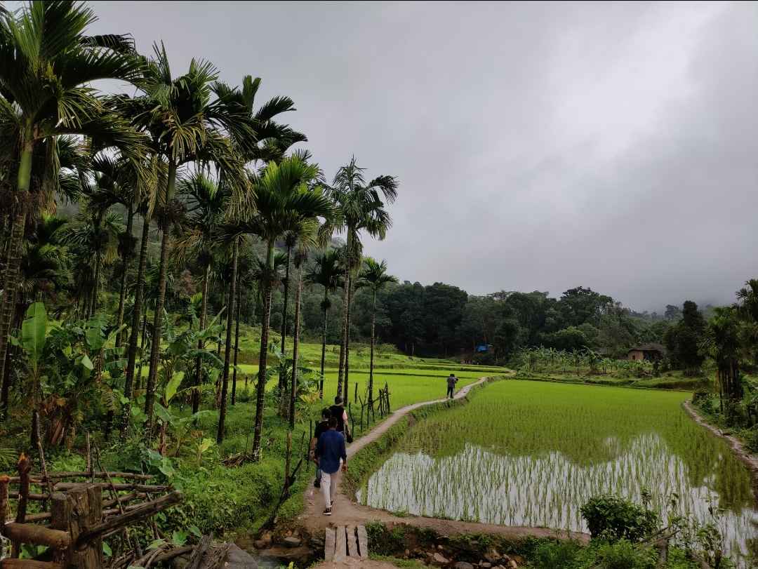Honest, Useful Traveler Guides To Thirthahalli 2023 | Tripoto