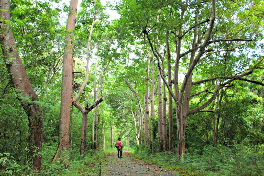 Sajna Ali (@sajnaali) Travel Blogger at Tripoto