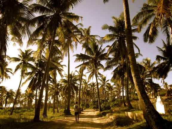 Inhambane, , Mozambique: View Images, Timing and Reviews | Tripoto