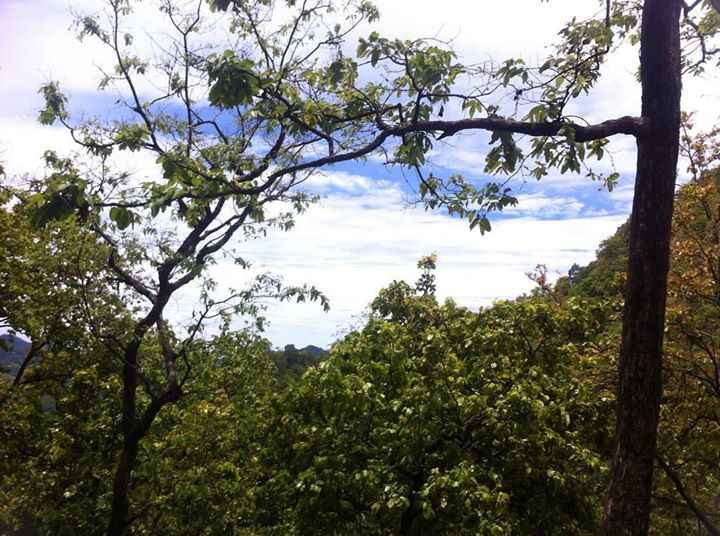 Swathi Nair (@swathinair) Travel Blogger at Tripoto