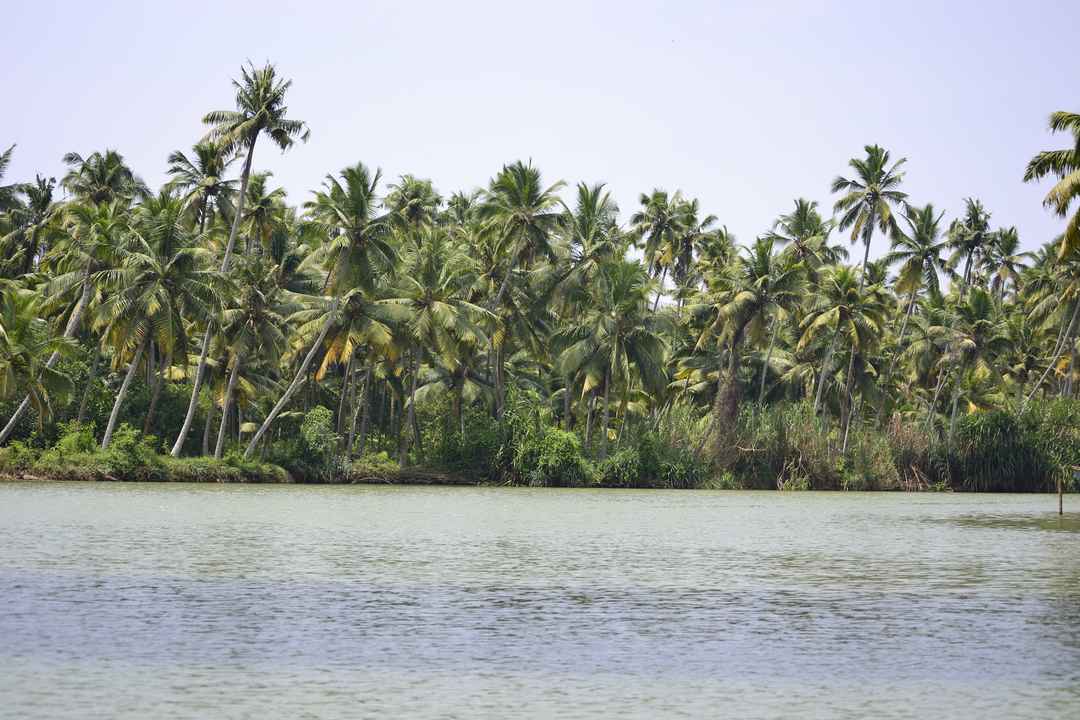 Poovar Travel Guide 2021: Best of Poovar Tourism | Tripoto