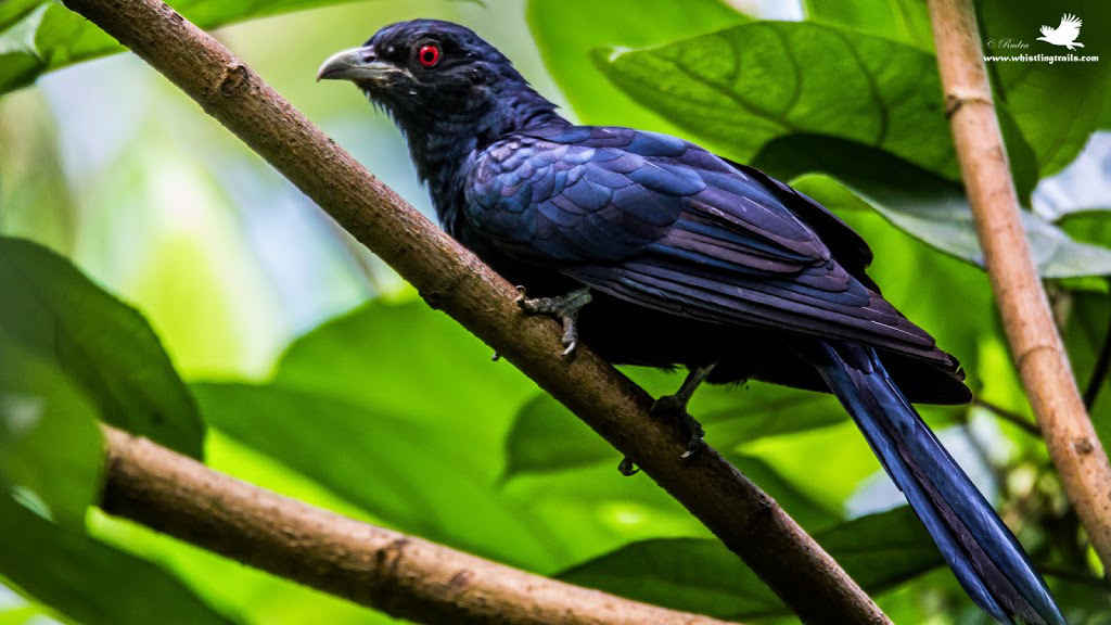 Chiplun Travel Guide 2021: Best of Chiplun Tourism | Tripoto