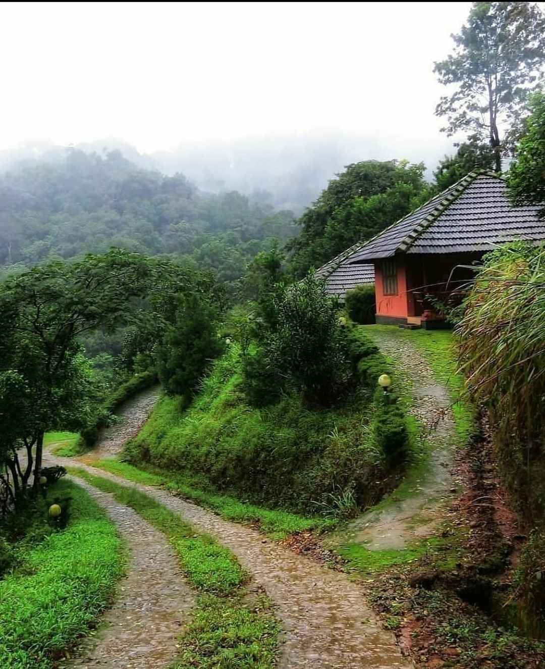 Honest, Useful Traveler Guides To Vythiri 2023 | Tripoto