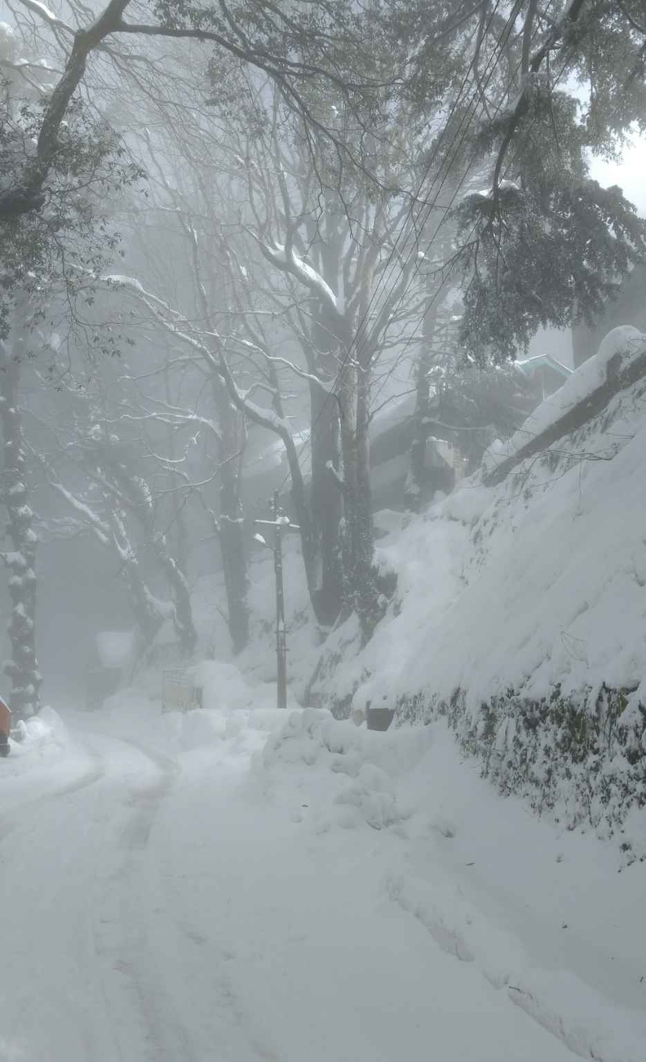 Honest, Useful Traveler Guides To Banikhet 2022 | Tripoto