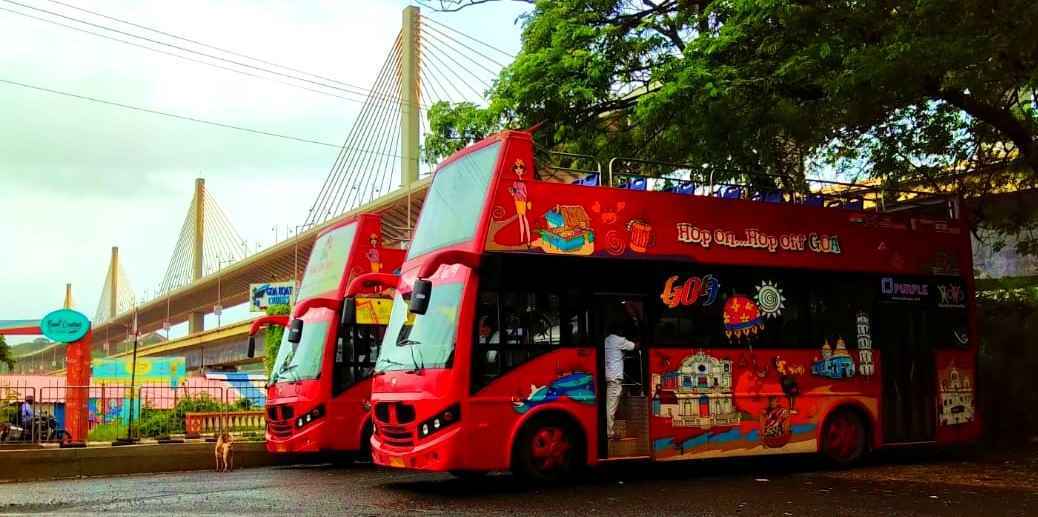 hoho bus goa