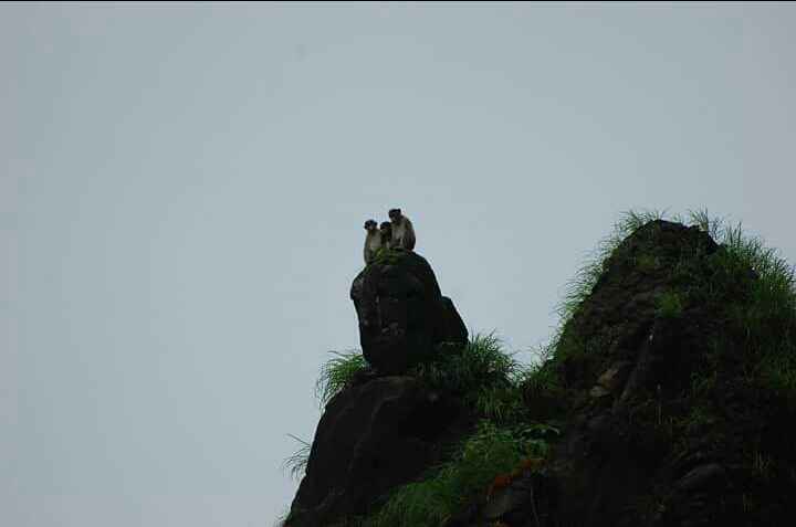 Bamnoli Travel Guide, Tourism, Weather, How to Reach, Route Map, Photos ...